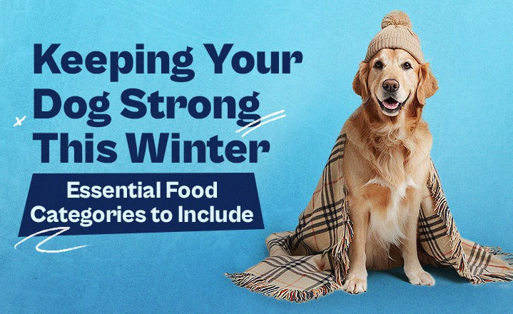 Pet News & Tips | Hunger Tail Blog for Pet Owners – Hunger tail