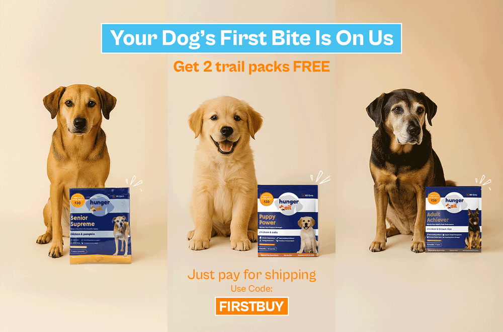 Hunger Tail | Premium All-Natural Pet Food in India – Hunger tail