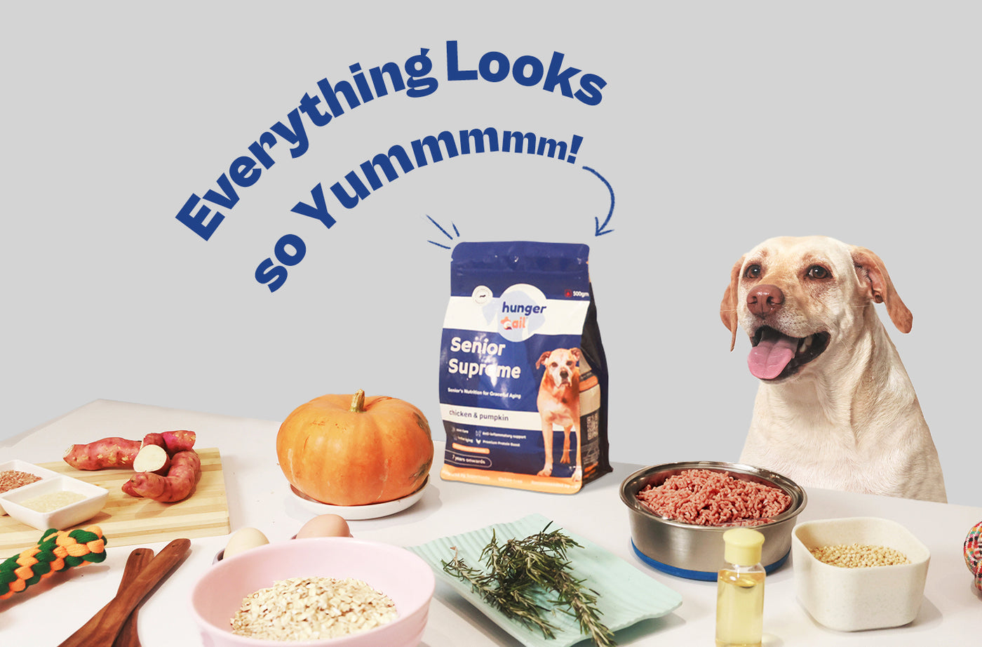 Buy Best Pet Food Online in India at Low Prices | Pet Care Products ...