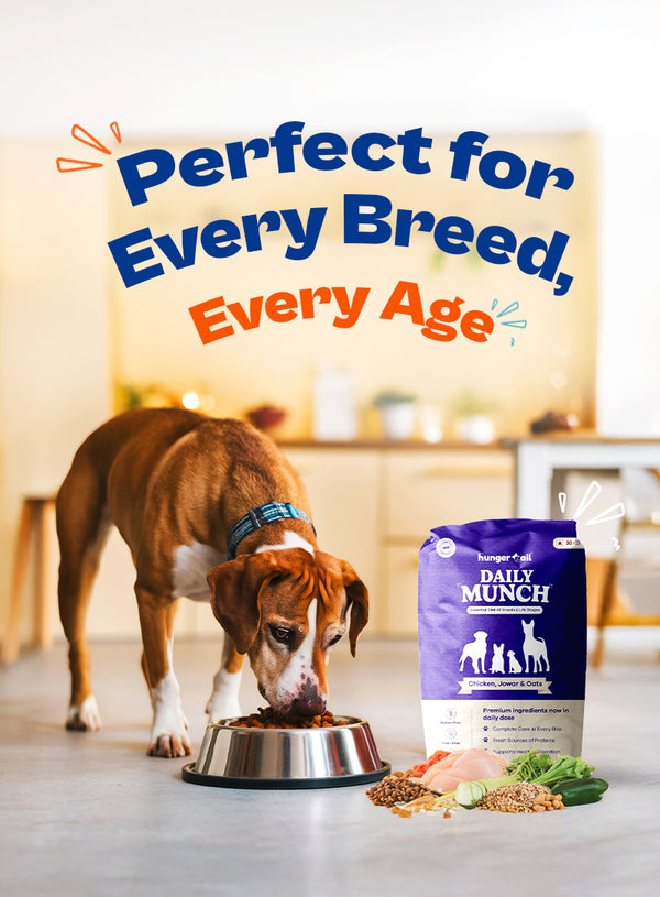 Hunger Tail | Premium All-Natural Pet Food in India – Hunger tail