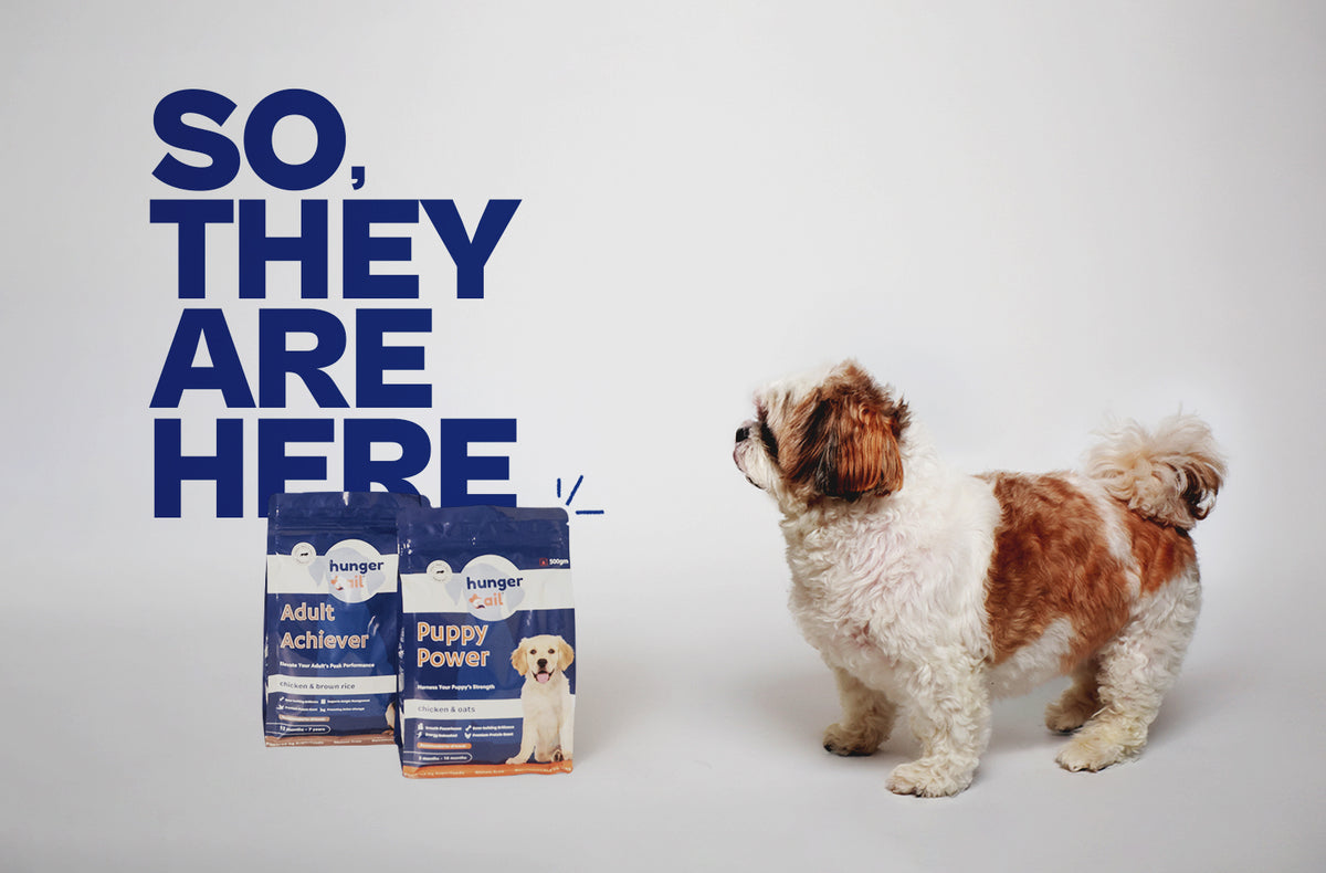Hunger Tail | Premium All-Natural Pet Food in India – Hunger tail
